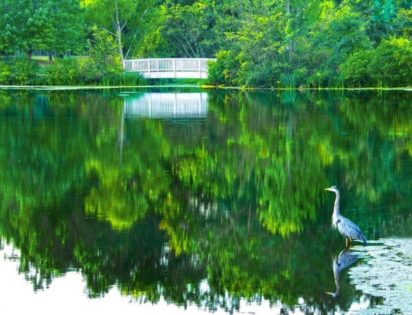 Newington Atlas | Explore Newington CT History, Trails & Parks